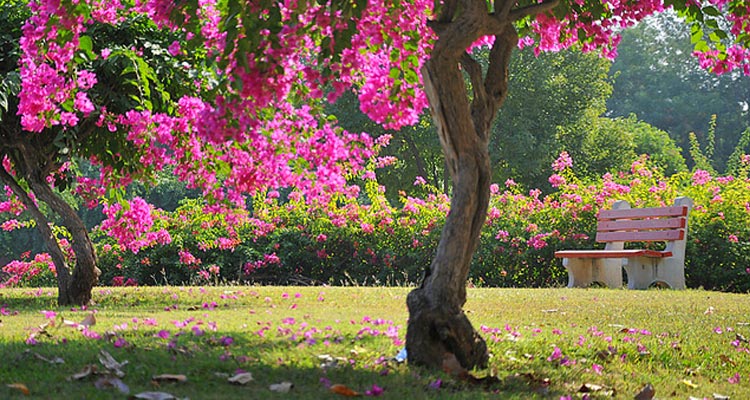 Travel Bucket List: India – Punjab Part 2 | Memories and Such